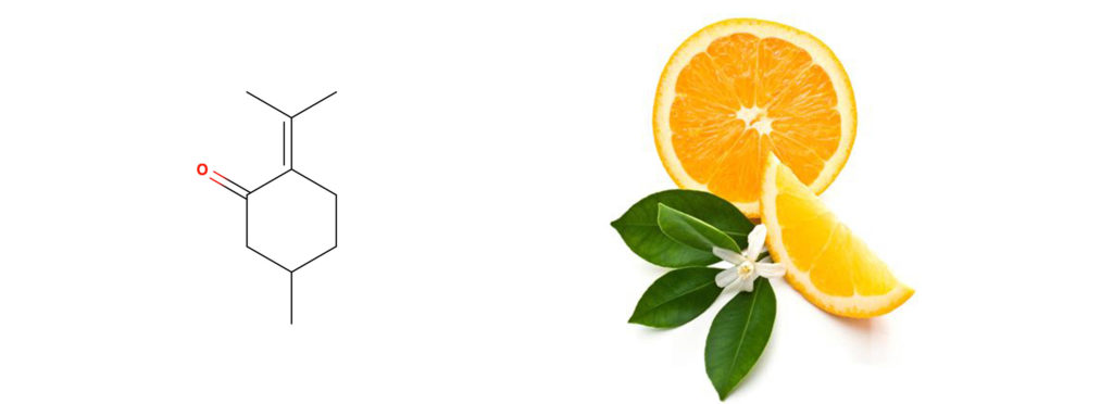 Floraplex Terpenes | Terpene Information Center and Resources