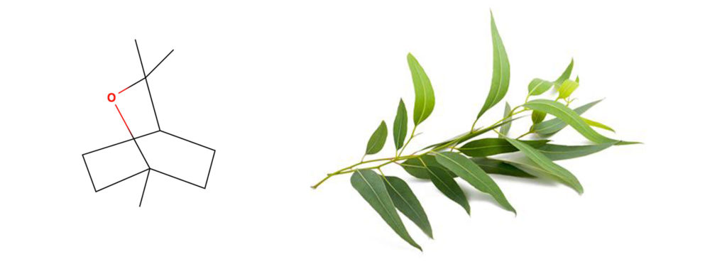 Floraplex Terpenes - Terpene Information Center and Resources