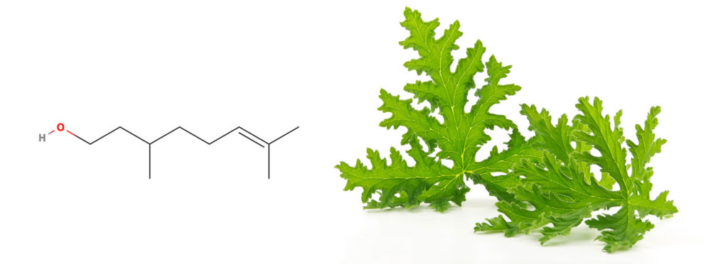 Floraplex Terpenes - Terpene Information Center and Resources