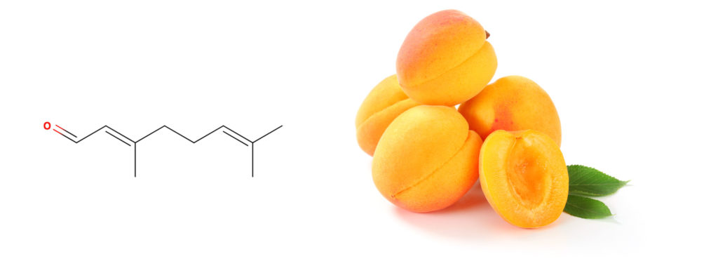 Floraplex Terpenes - Terpene Information Center and Resources