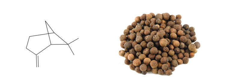 Floraplex Terpenes - Terpene Information Center and Resources