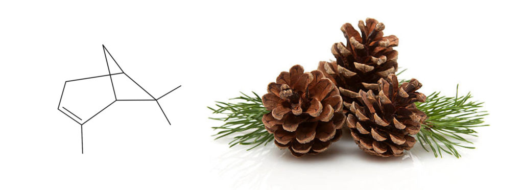 Floraplex Terpenes - Terpene Information Center and Resources