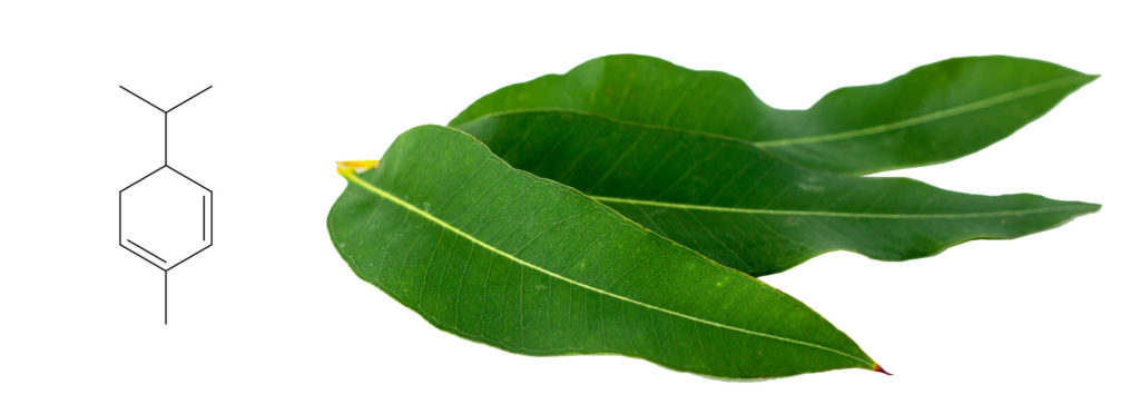 Floraplex Terpenes - Terpene Information Center and Resources