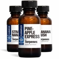 The Tropical Pack | Floraplex Terpenes